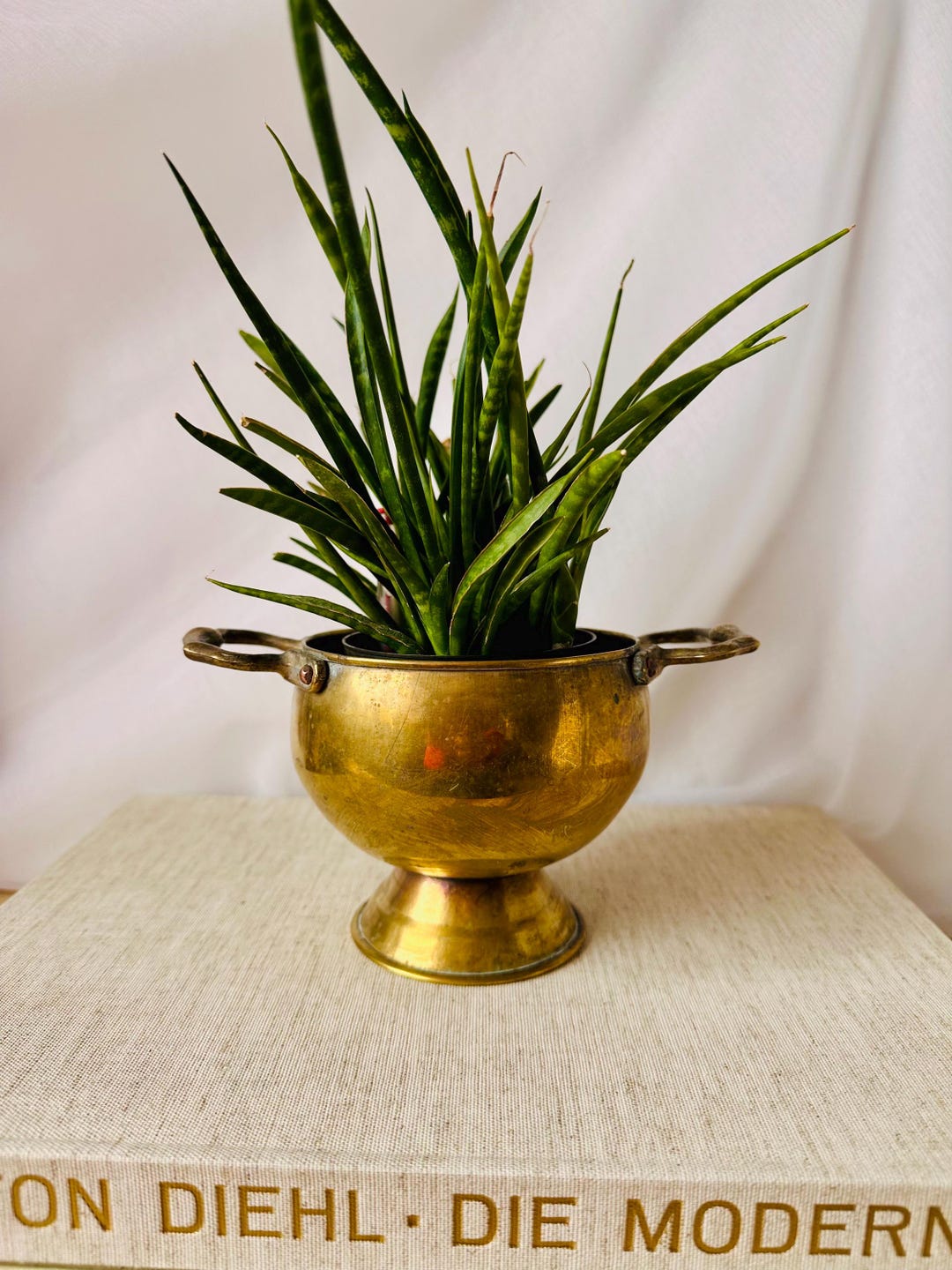 Vintage Brass Planter in Trophy Shape – Retro Decoration | Polished ...
