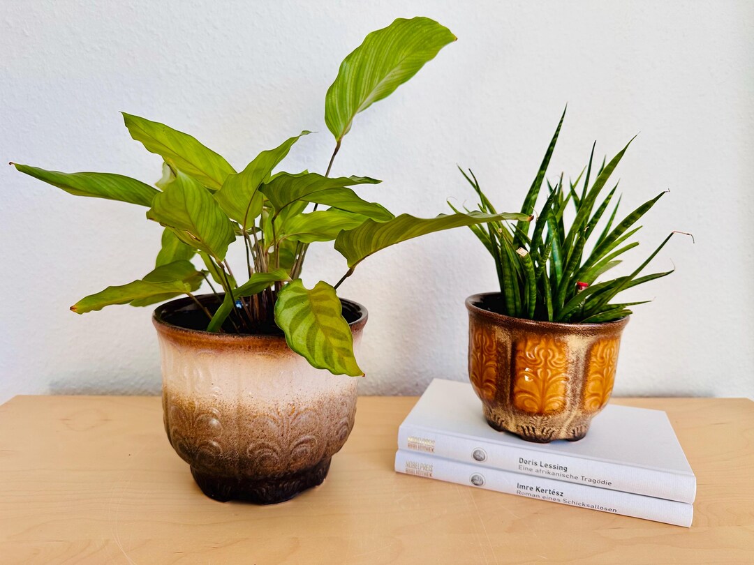 Set of Two Vintage Plant Pots by Scheurich | WGP Planters 2-piece Set ...