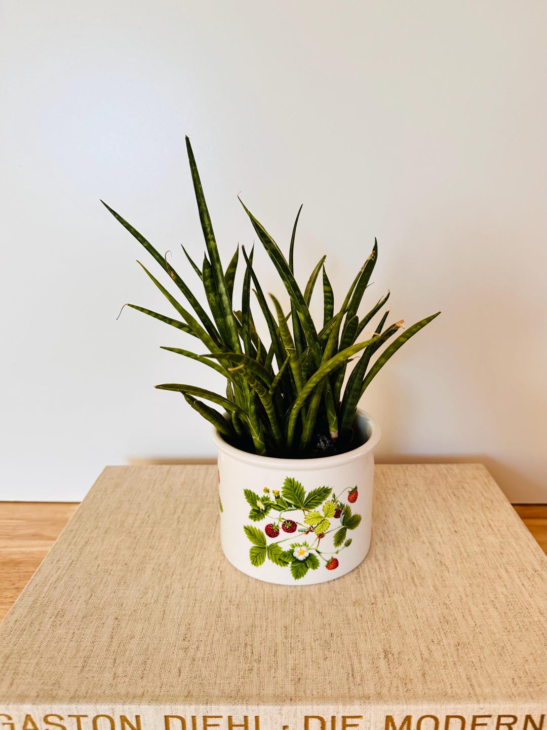 Small Vintage Portmeirion Flower Pot With Strawberry Design ...