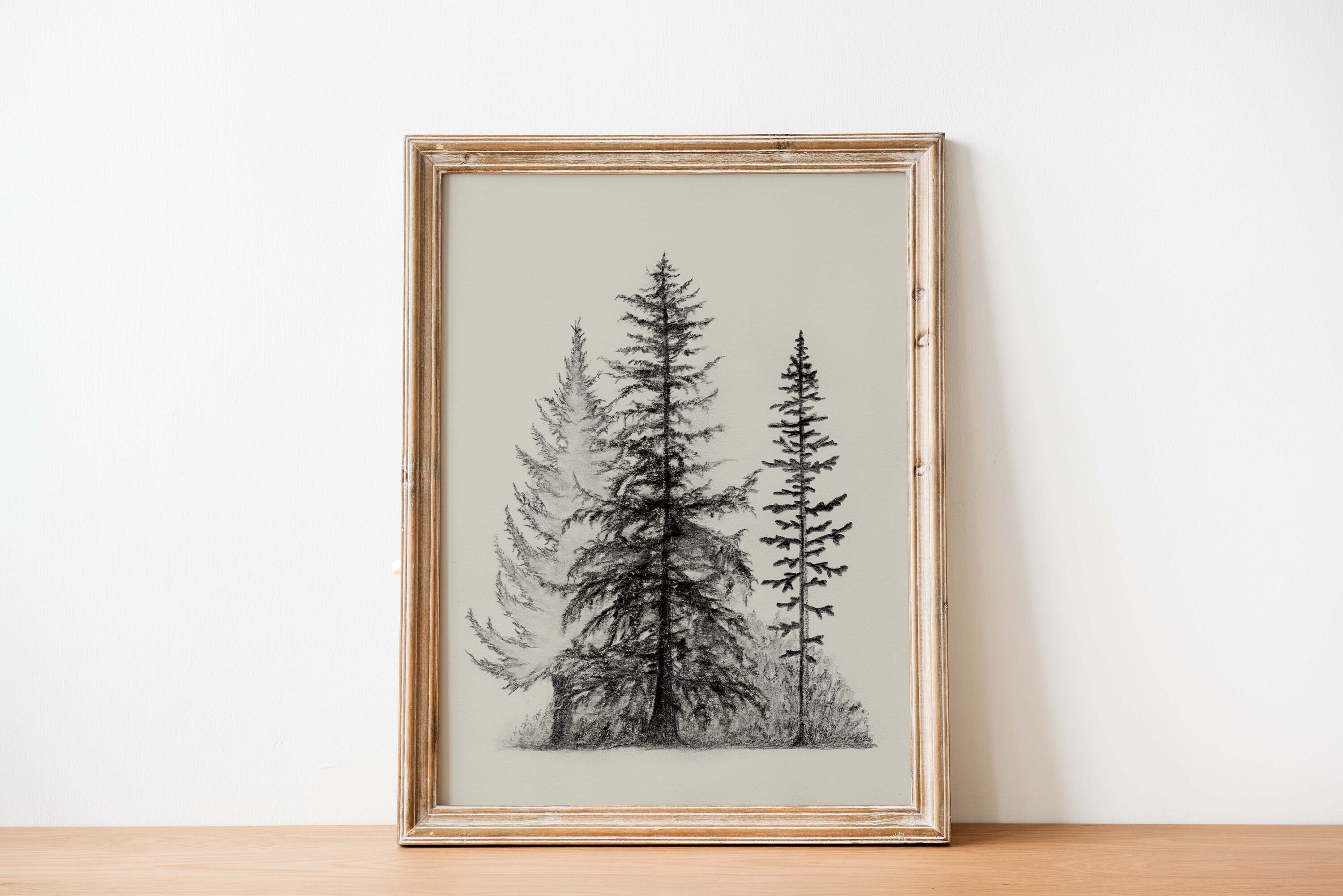 Pine Trees Sketch, Vintage Tree Print, House Decor, Lake House, Winter ...