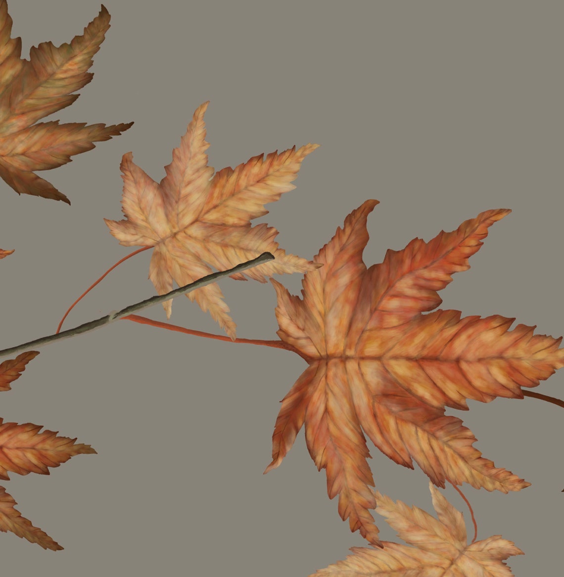 Samsung Frame Tv Art Fall Leaves / Frame Tv Art Autumn Minimalist ...