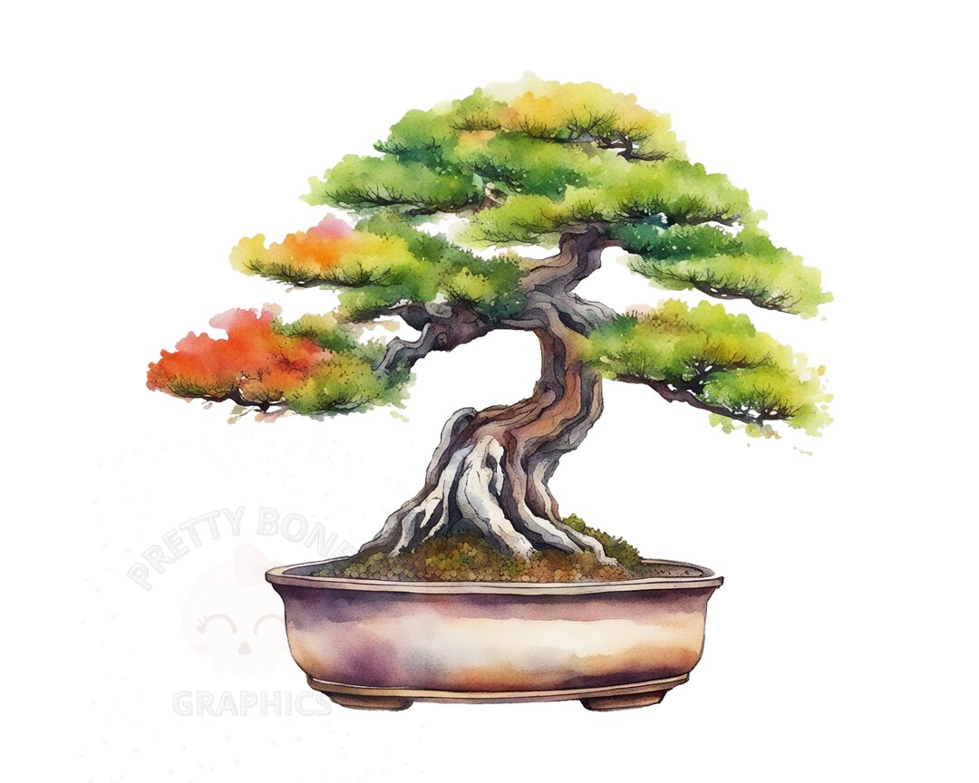 Watercolor Bonsai Tree Clipart, PNG Instant Download File, Digital ...