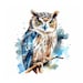 Watercolor Owl Clipart, JPG Digital Download, Card Making Clipart ...