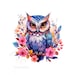 Watercolor Floral Owl Clipart, PNG Instant Download File, Digital ...