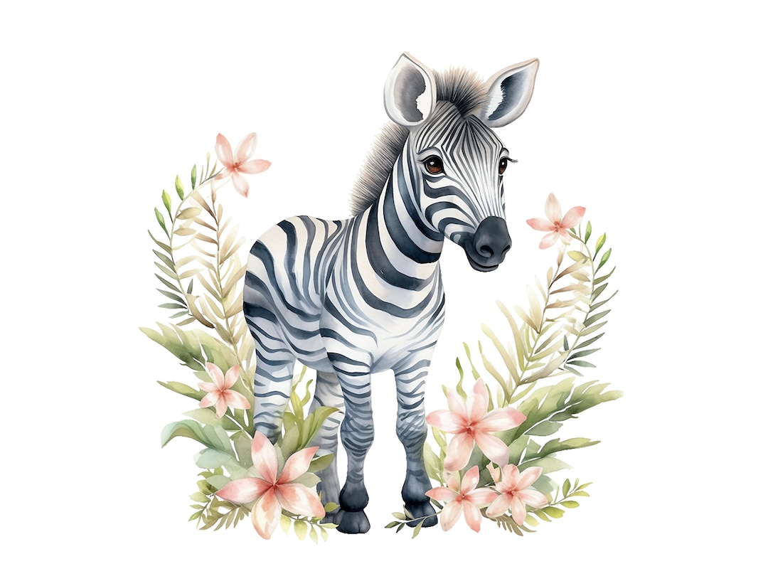 Baby Zebra PNG, Digital Download, Watercolor Clipart, Card Making ...