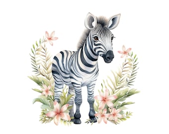 Baby Zebra PNG, Digital Download, Watercolor Clipart, Card Making ...