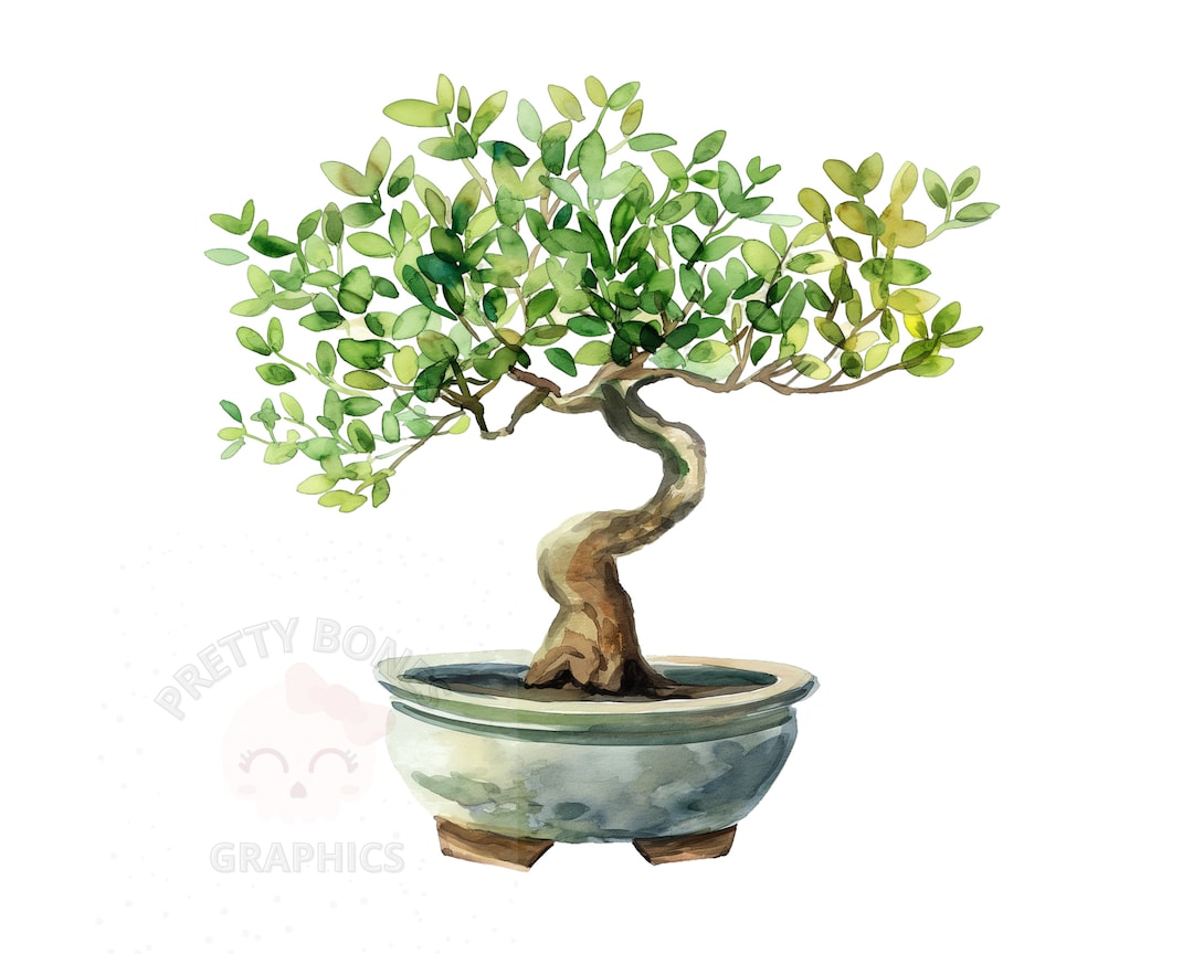 Potted Bonsai Tree Clipart, PNG Instant Download File, Digital Design ...