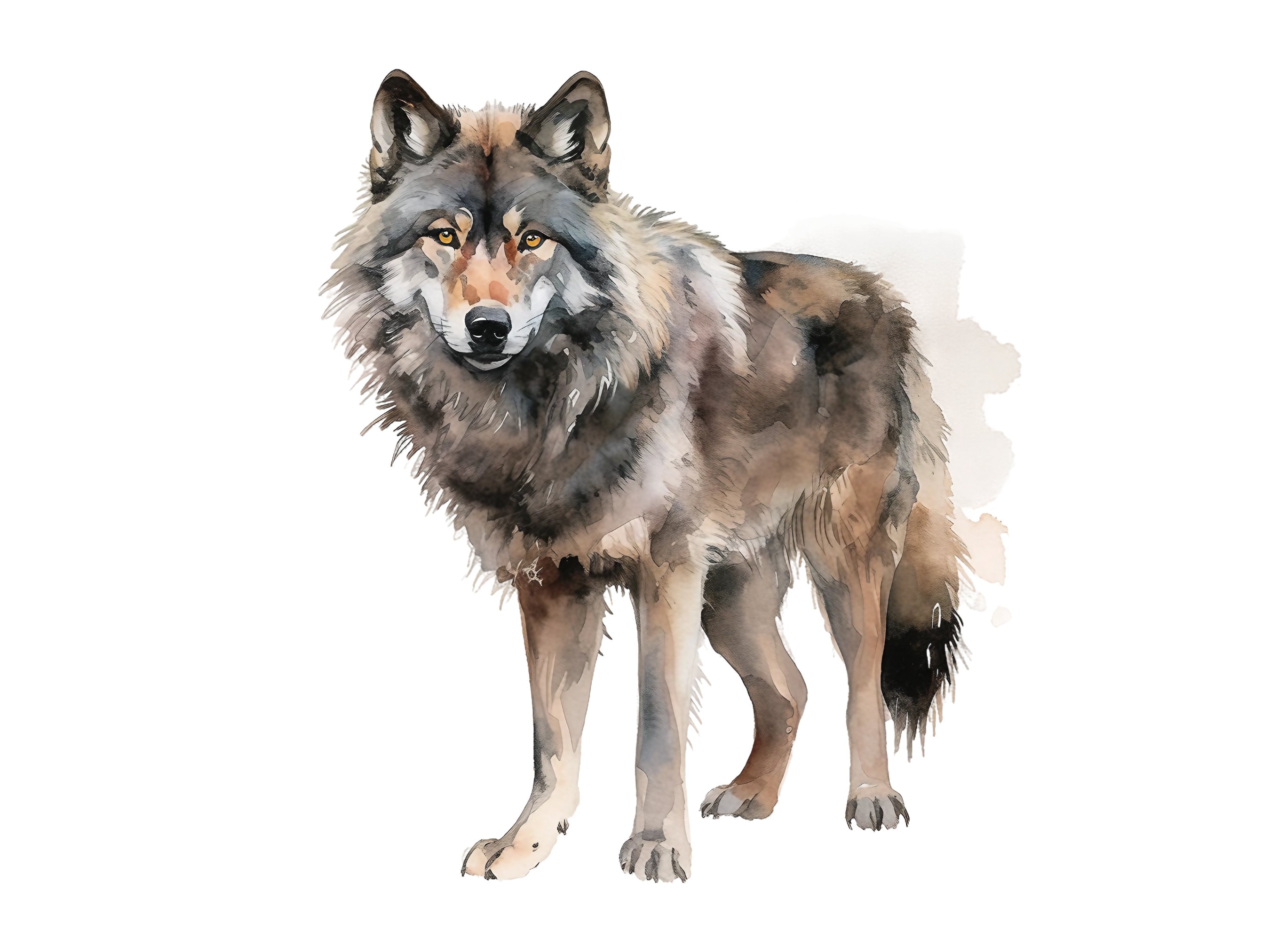 Watercolor Wolf Clipart PNG Instant Download File Digital - Etsy