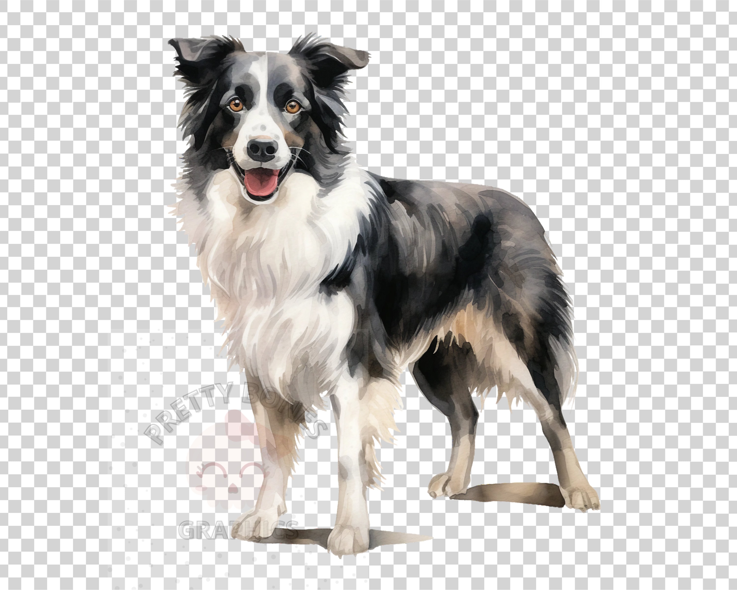 Border Collie Clipart PNG Instant Download File Digital - Etsy