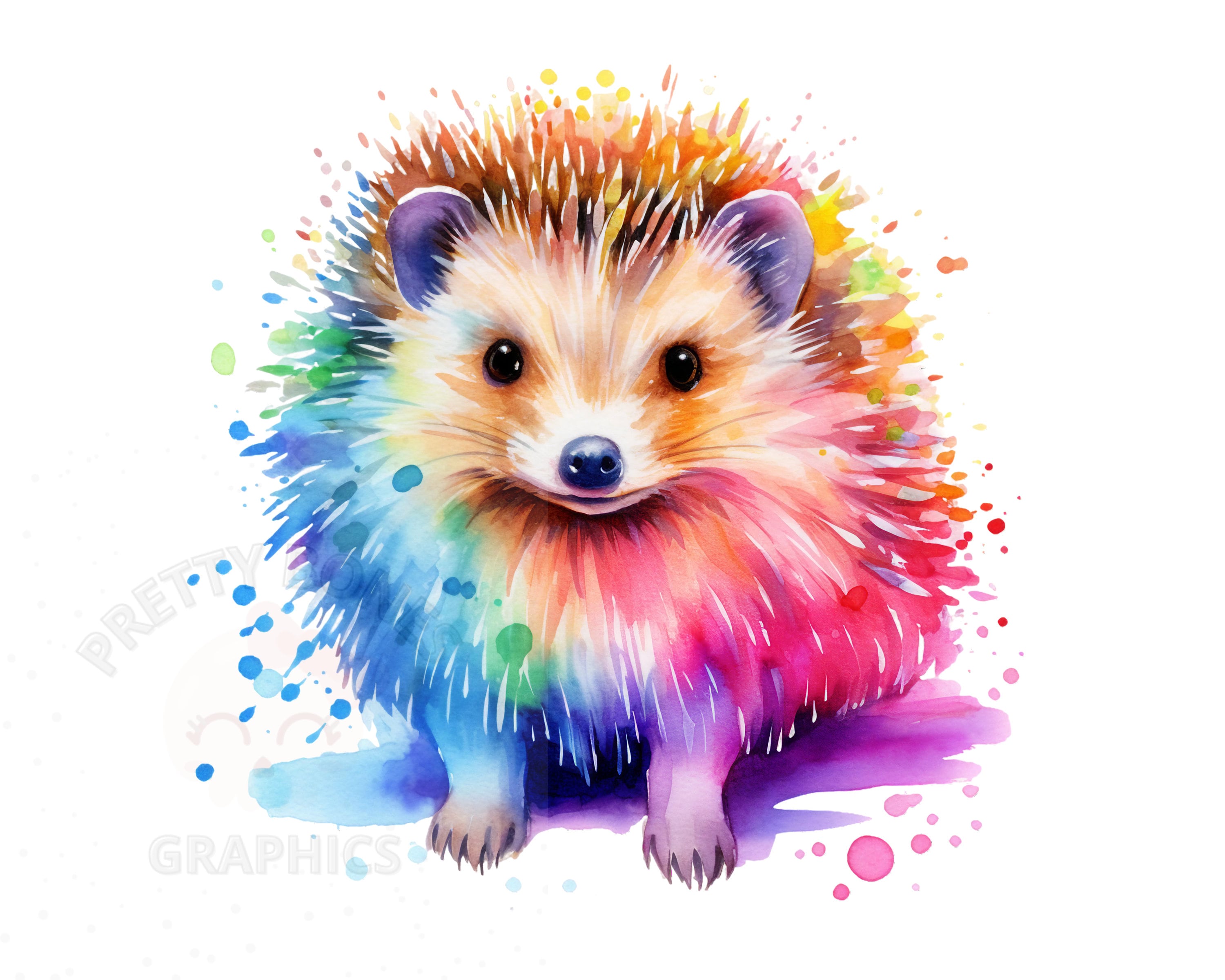 Hedgehog Clipart, Rainbow Colours, PNG Instant Download File ...