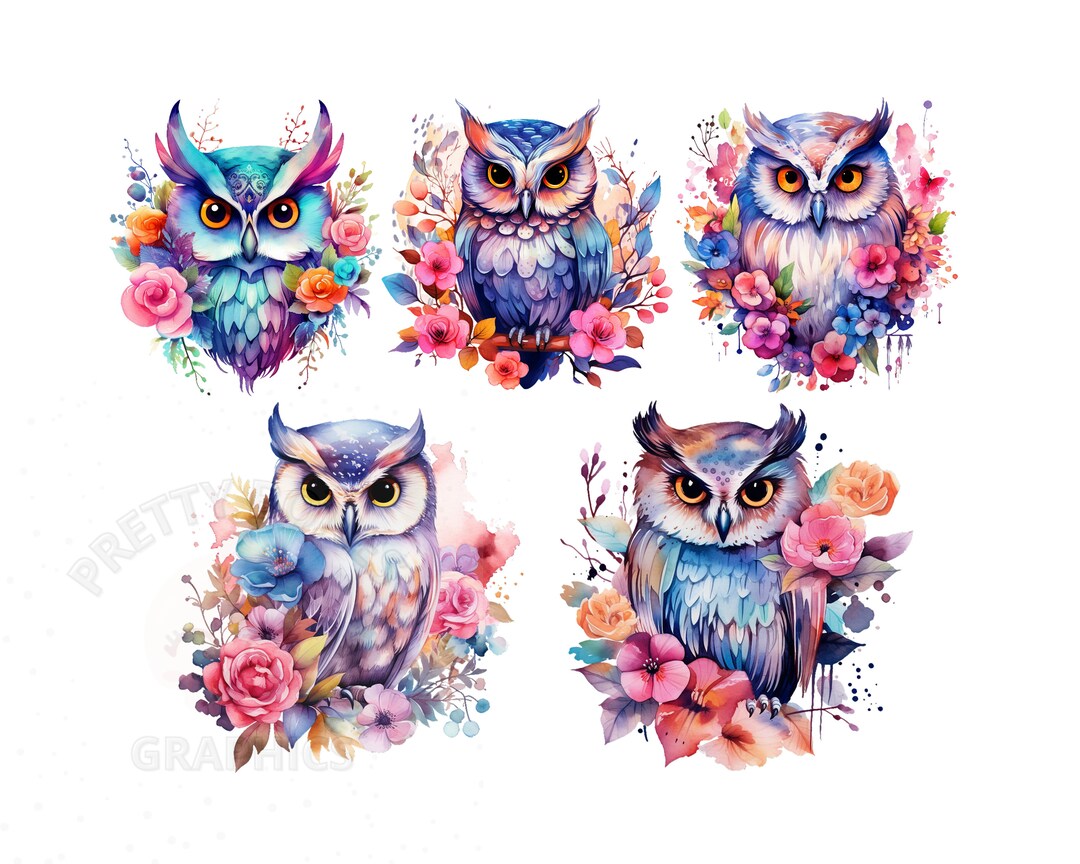 Watercolor Floral Owl Clipart Bundle, 5 PNG Instant Download Files, Owl ...
