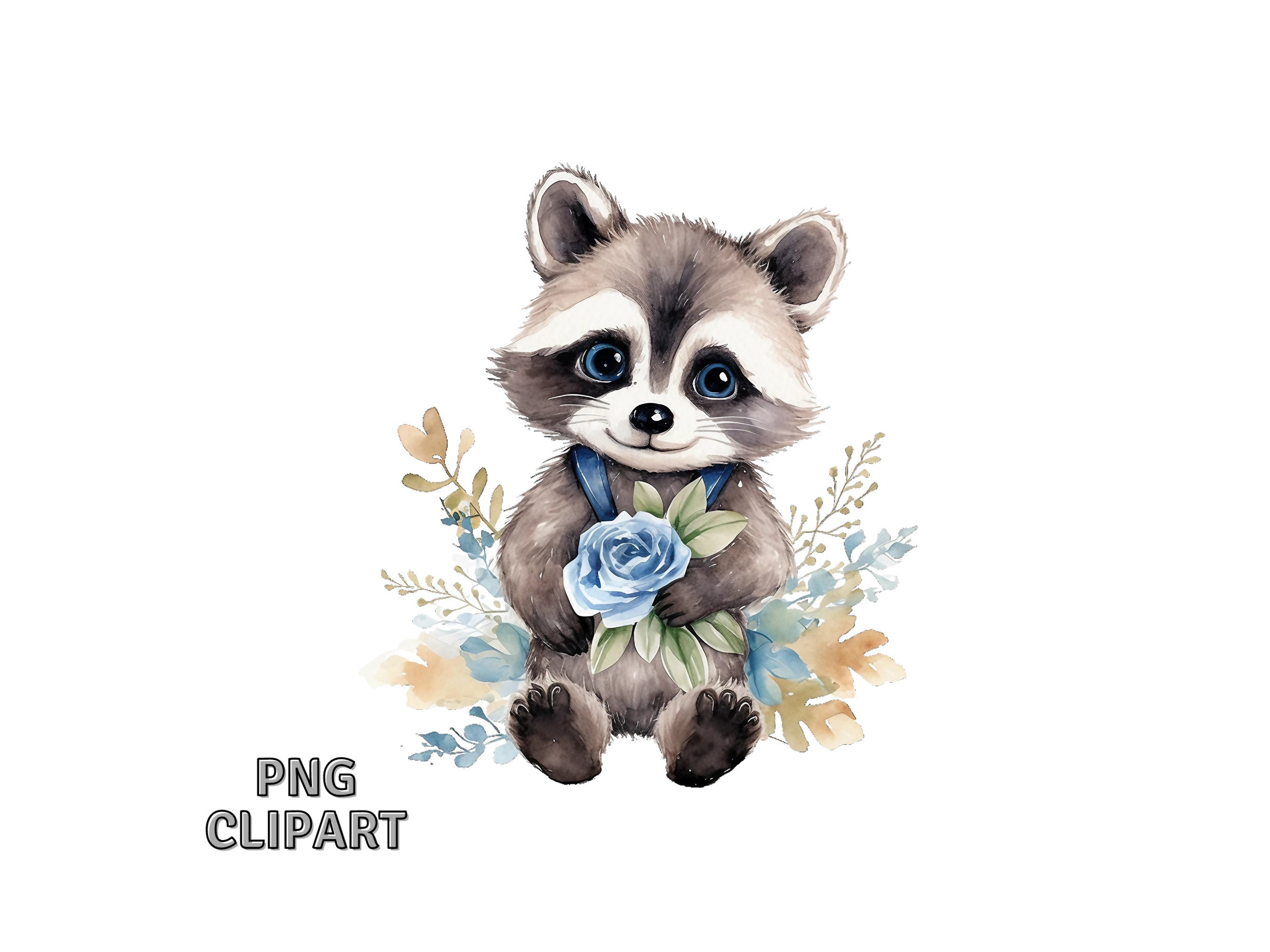 Baby Raccoon Clip Art