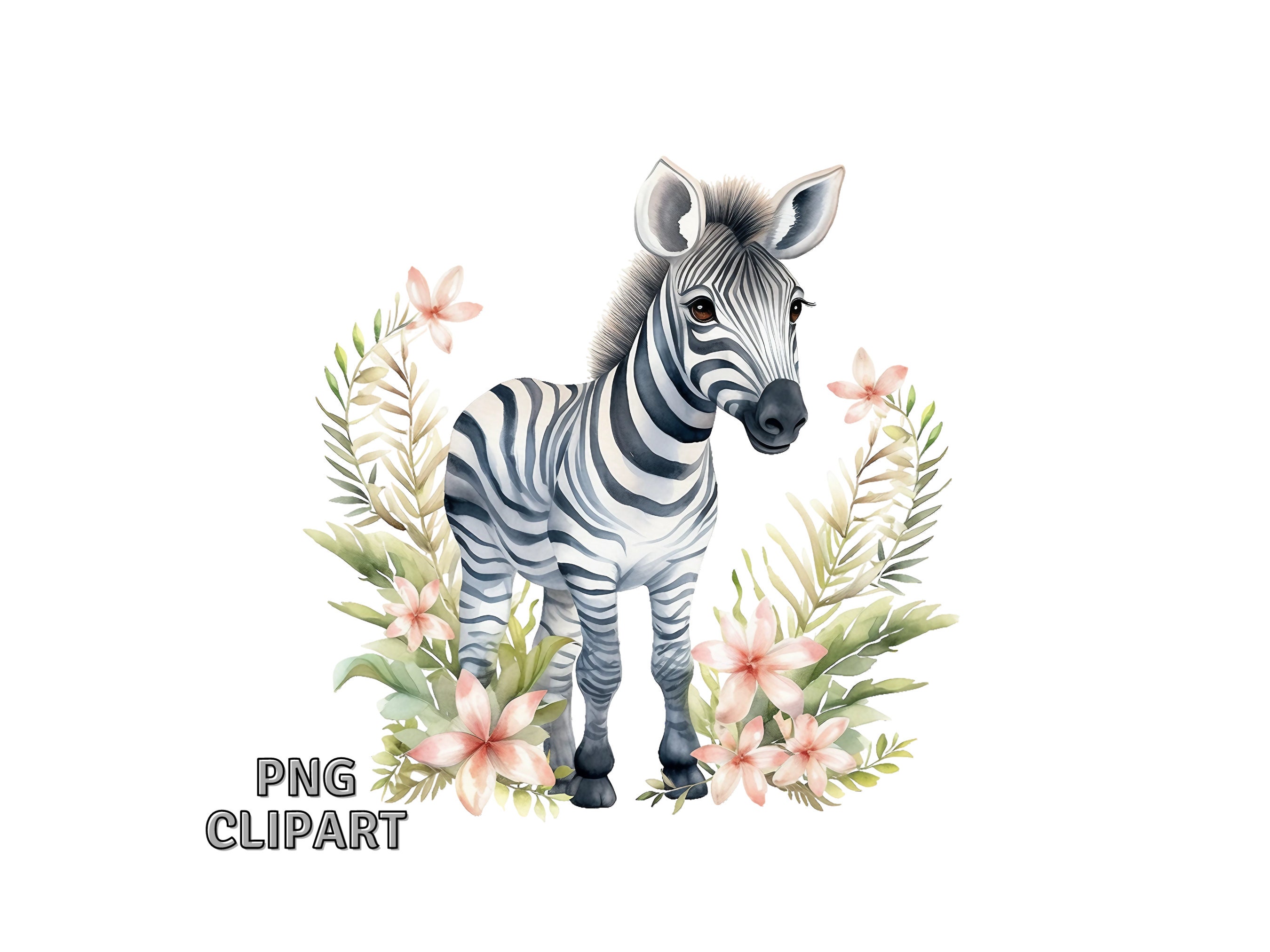 Zebra Print Baby Clipart