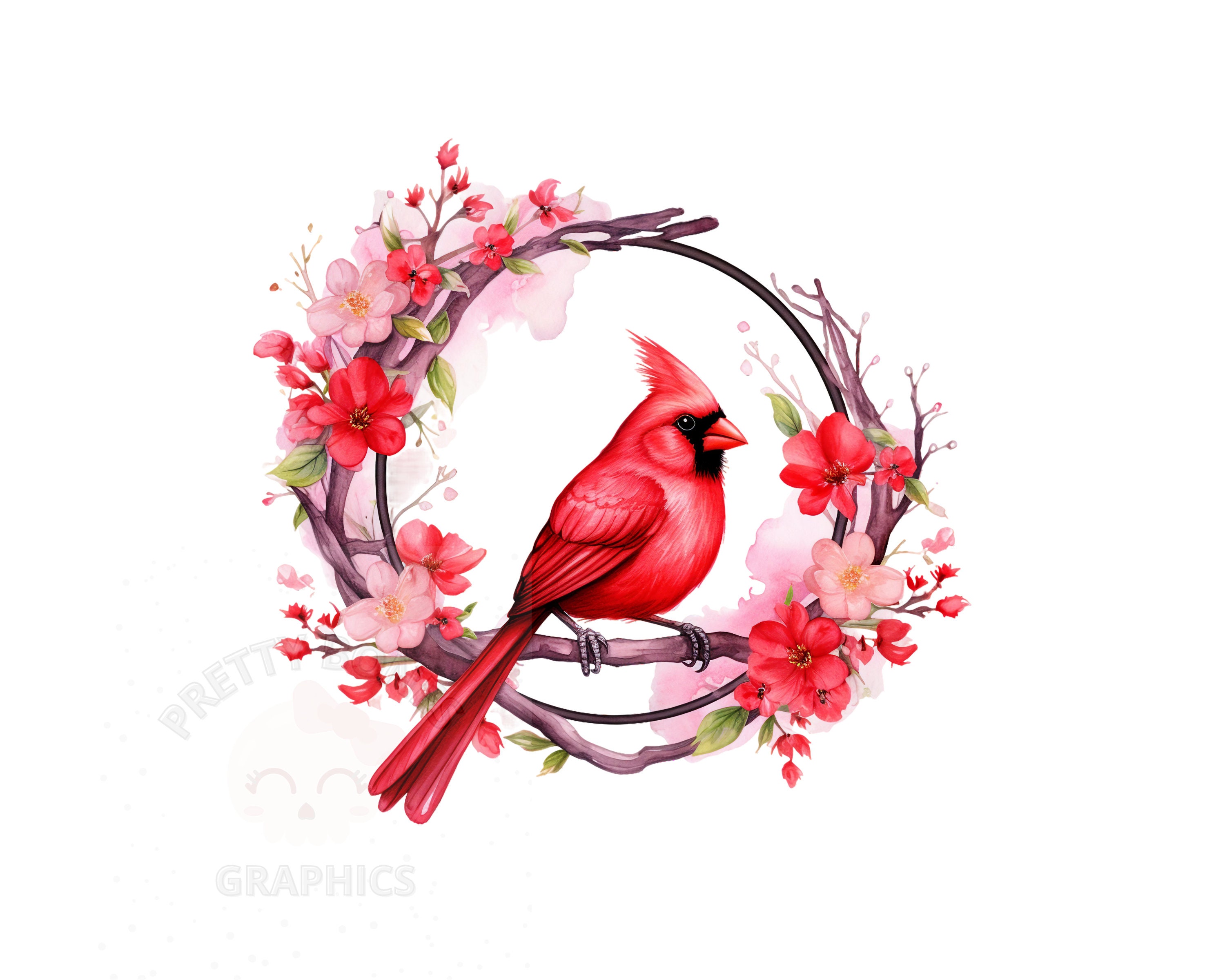 Red Cardinal Frame Clipart, PNG Instant Download File, Floral Bird ...