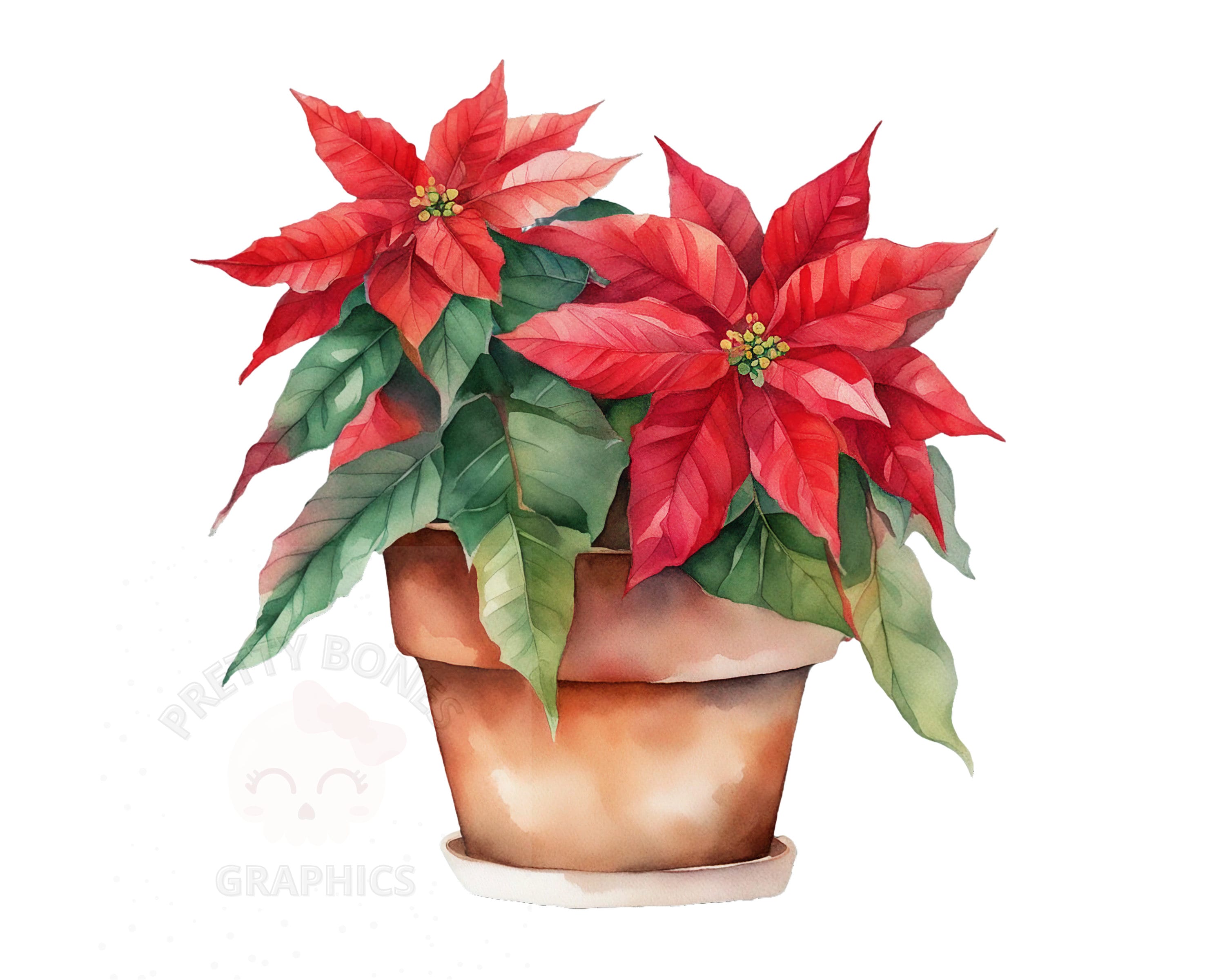 Potted Poinsettia Clipart, PNG Instant Download File, Digital Design ...