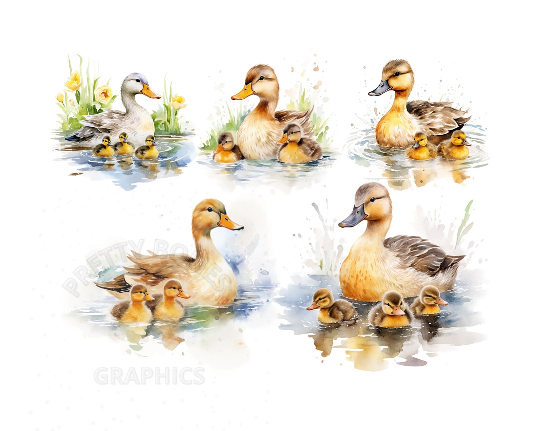 Duck and Ducklings Clipart Bundle, 5 PNG Instant Download Files ...