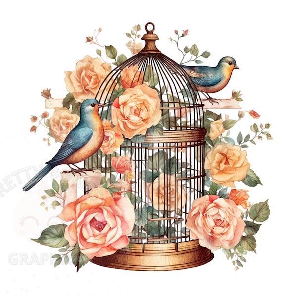 Bird Cage Clipart - Etsy