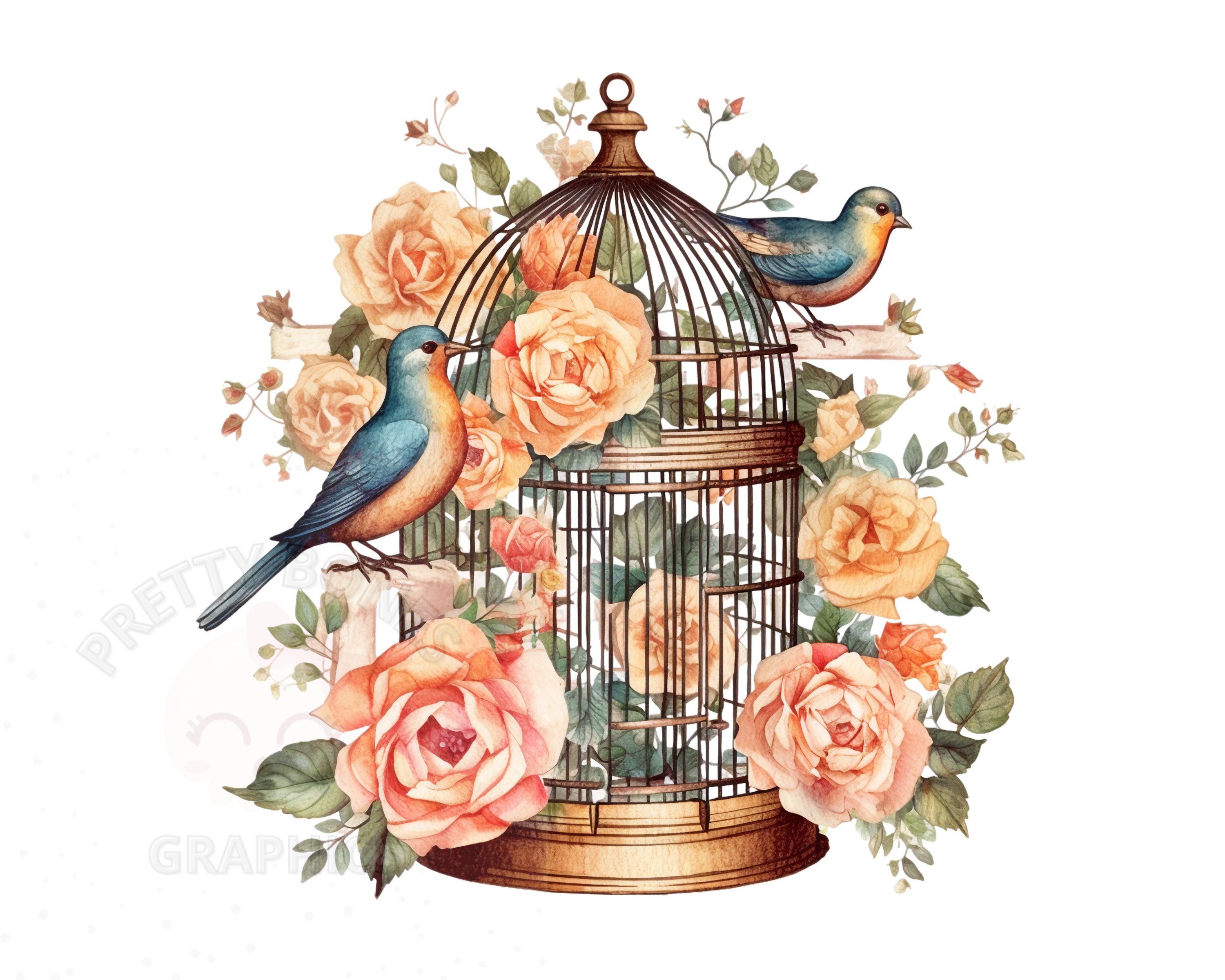 Vintage Birdcage Clipart