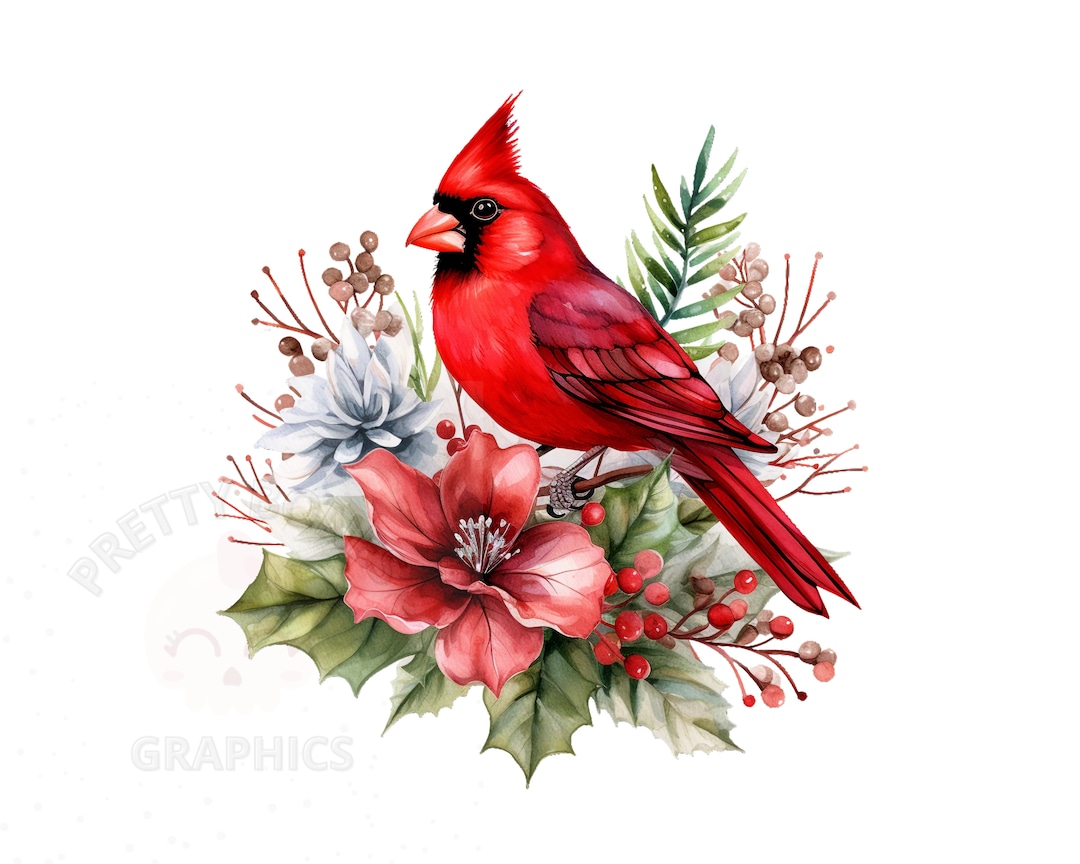 Watercolor Christmas Cardinal Bird Clipart, PNG Instant Download File ...