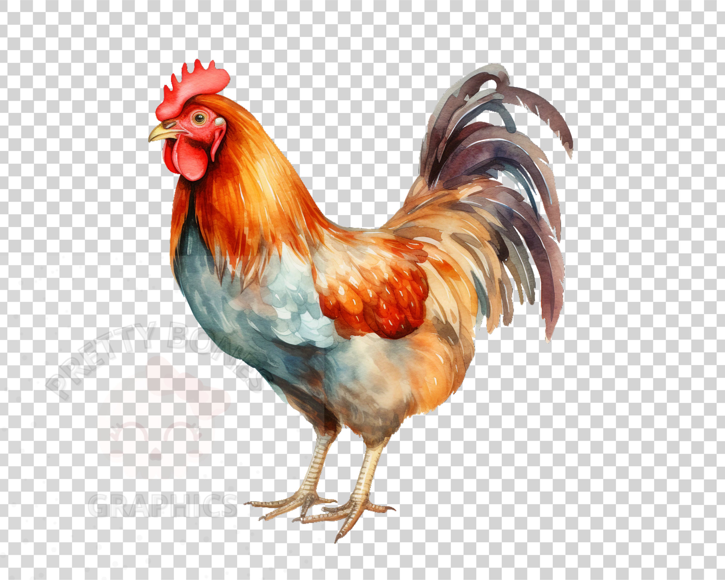 Watercolor Chicken Clipart PNG Instant Download File Chicken - Etsy