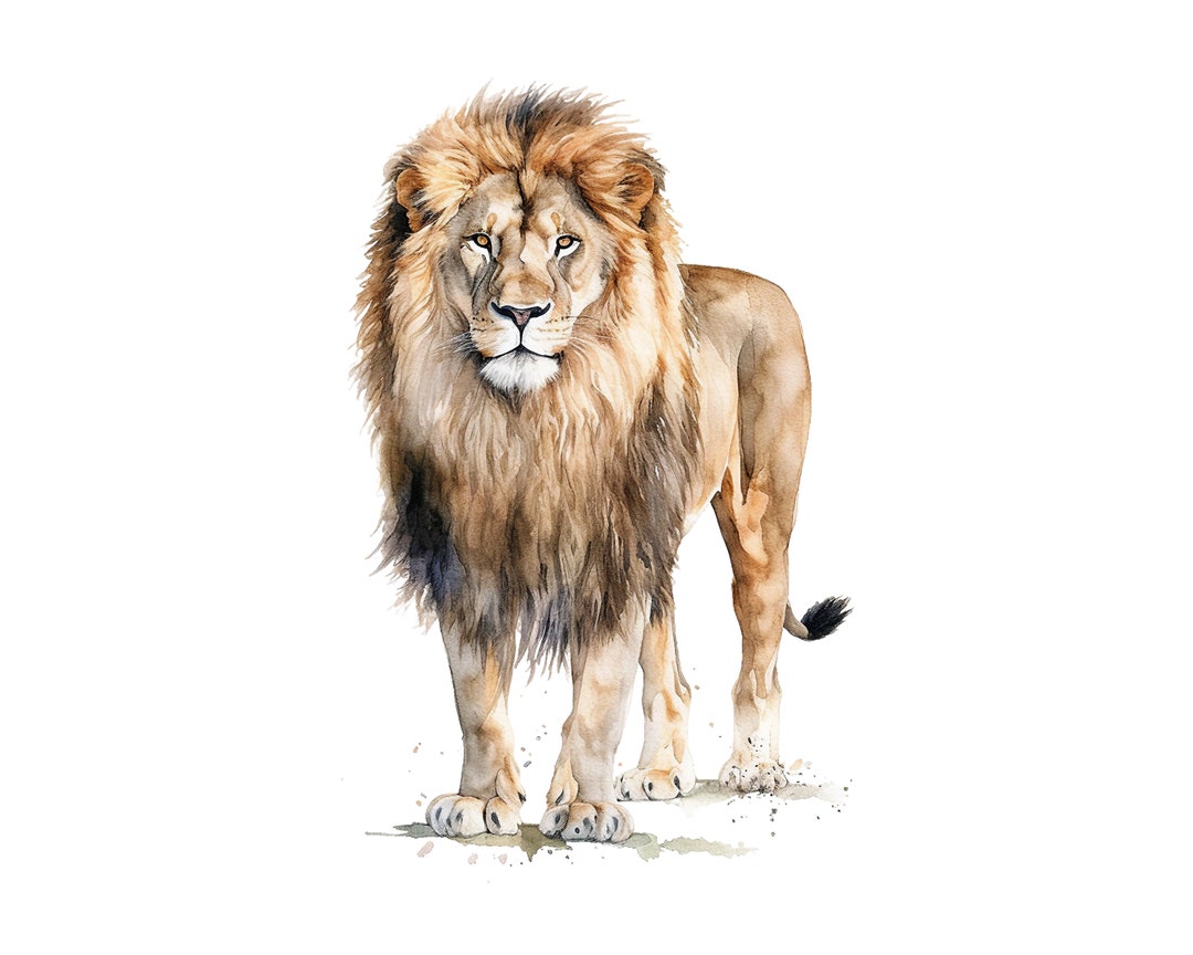 Watercolor Lion Clipart, PNG Instant Download File, Digital Paper Craft ...