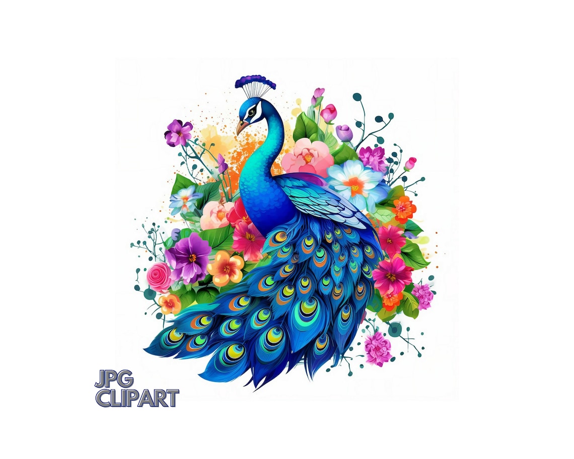 Peacock Clipart, JPG Instant Download File, Floral Peacock Digital ...