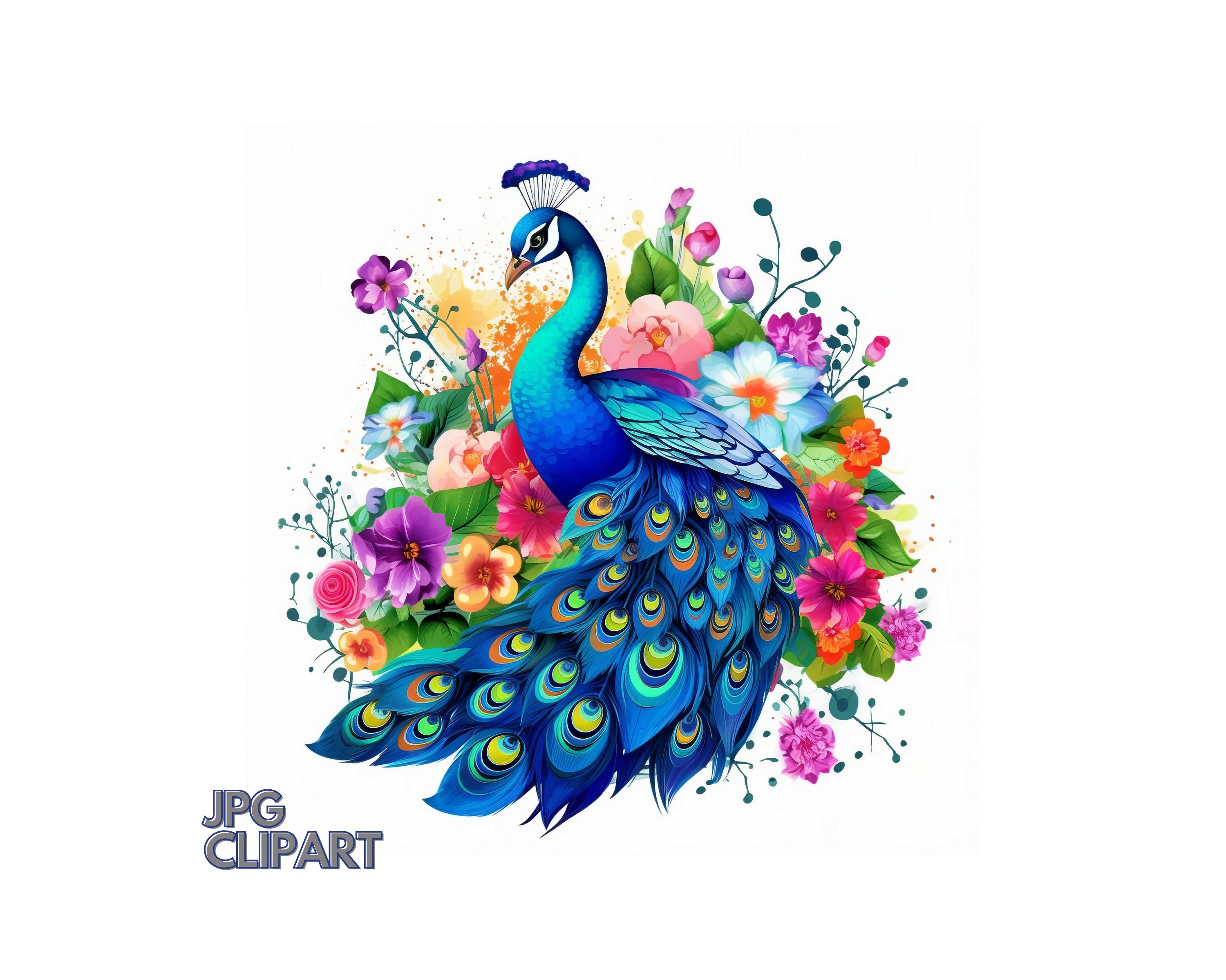 Peacock Clipart Instant Download File Floral Peacock Etsy