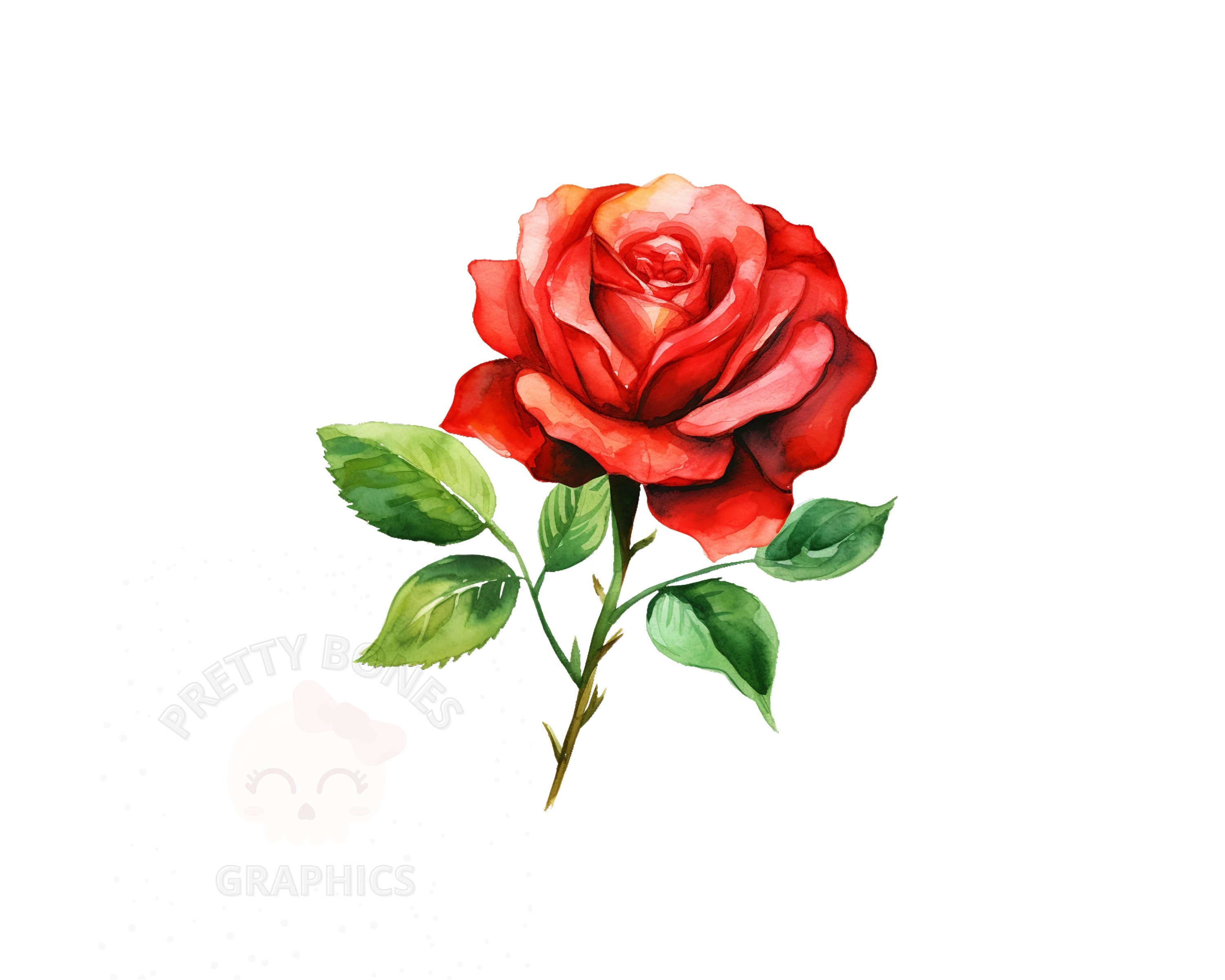 Watercolor Rose Red