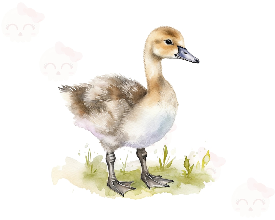 Watercolor Gosling Clipart, PNG Instant Download File, Digital Paper ...
