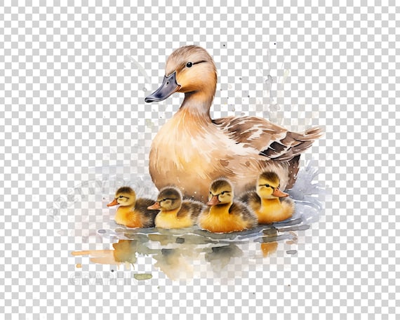 Clipart De Pato Y Patitos