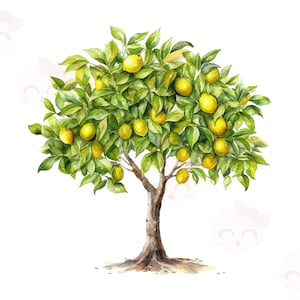 Watercolor Lemon Tree Clipart, PNG Instant Download File, Card Making ...