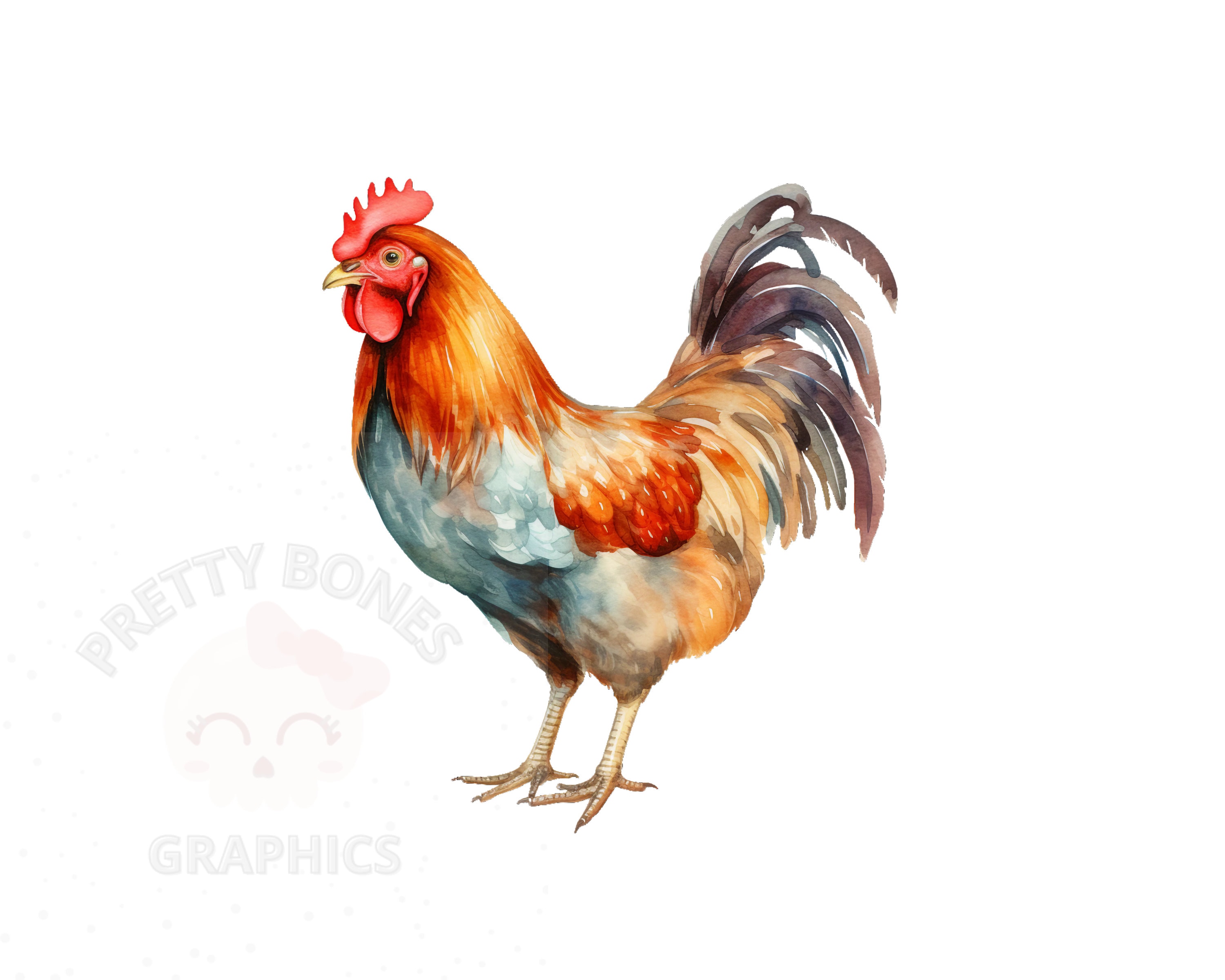 Watercolor Chicken Clipart, PNG Instant Download File, Chicken Digital ...