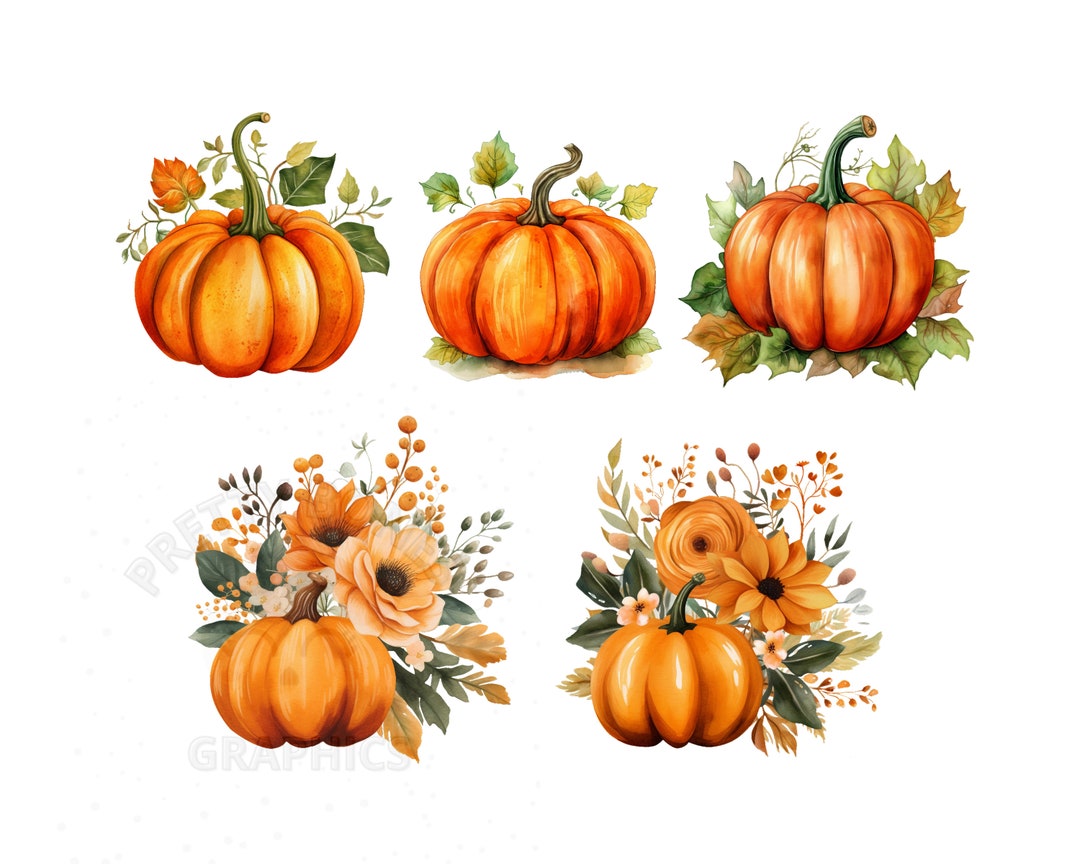 Pumpkin Clipart Bundle, 5 PNG Instant Download Files, Digital Design ...