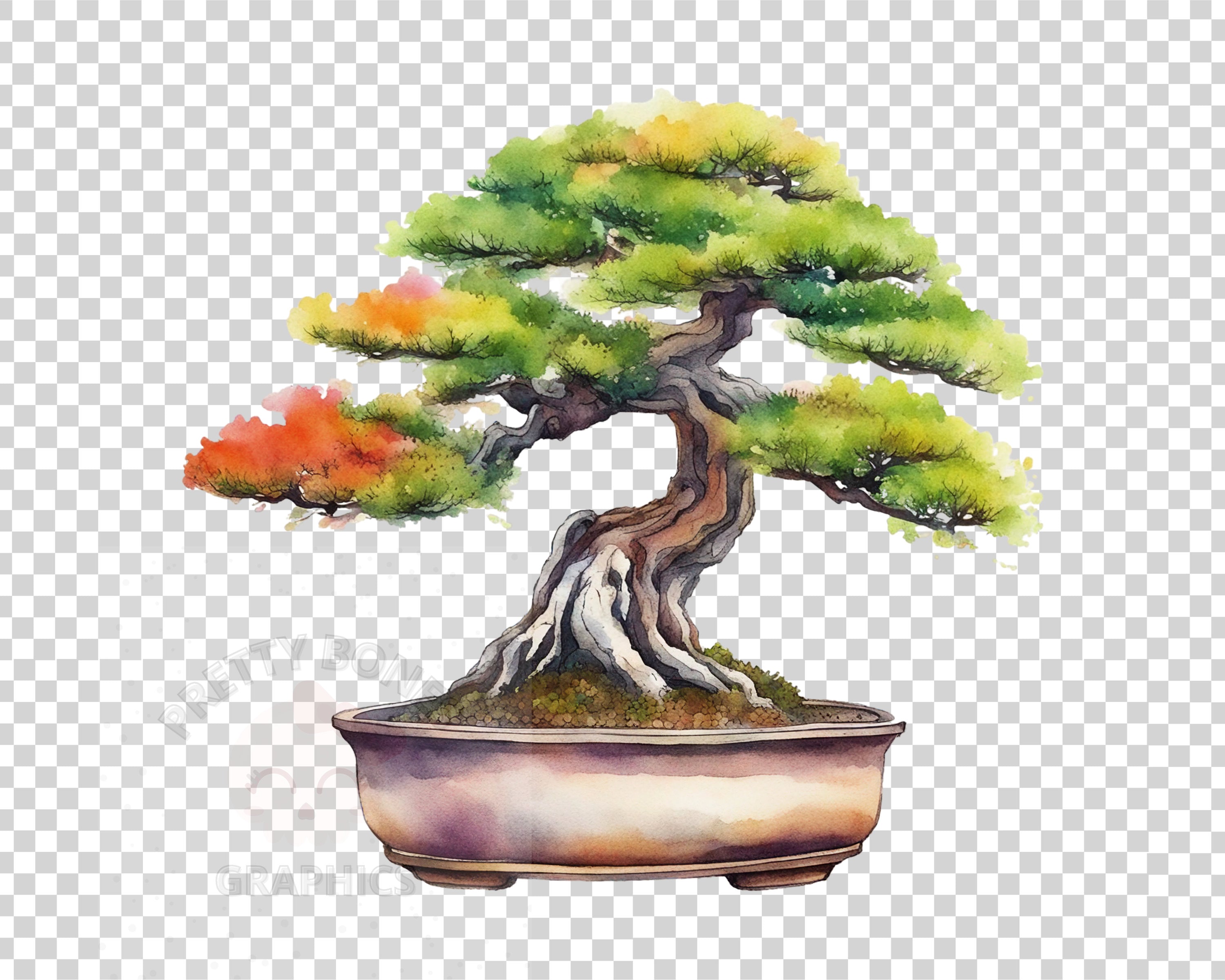 Watercolor Bonsai Tree Clipart PNG Instant Download File - Etsy