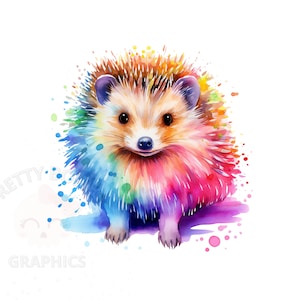 Hedgehog Clipart, Rainbow Colours, PNG Instant Download File ...