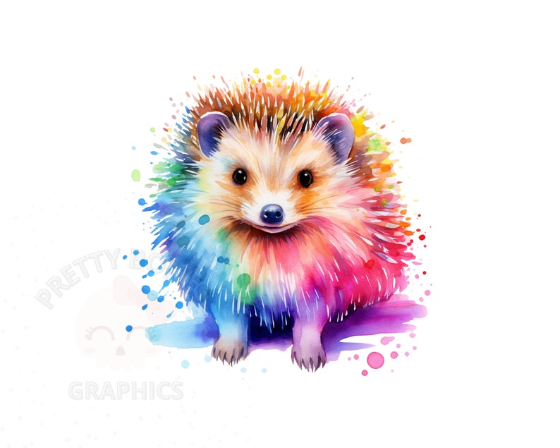 Hedgehog Clipart, Rainbow Colours, PNG Instant Download File ...