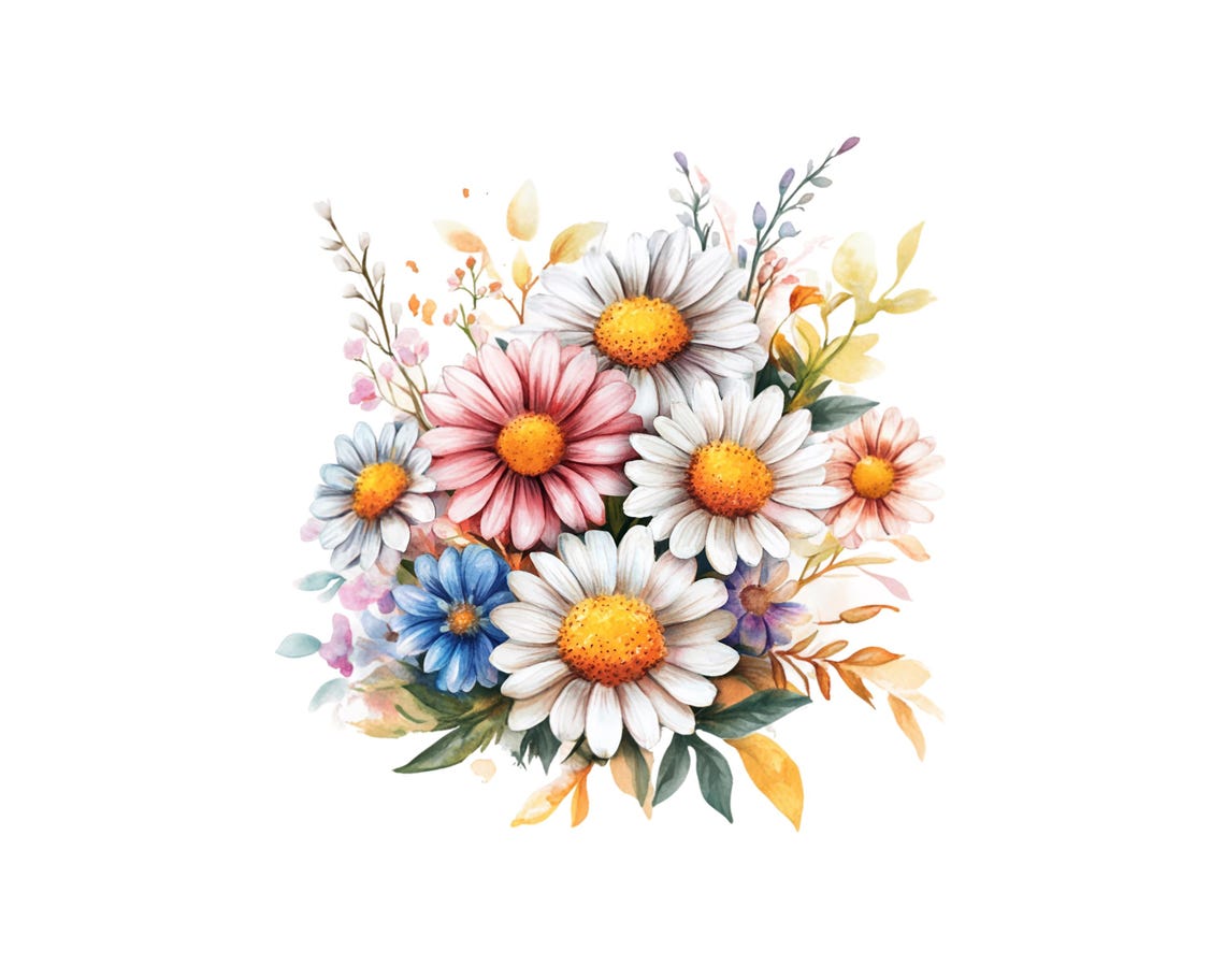 10 Daisy Flower Clipart Images, PNG Instant Download Files, Digital ...