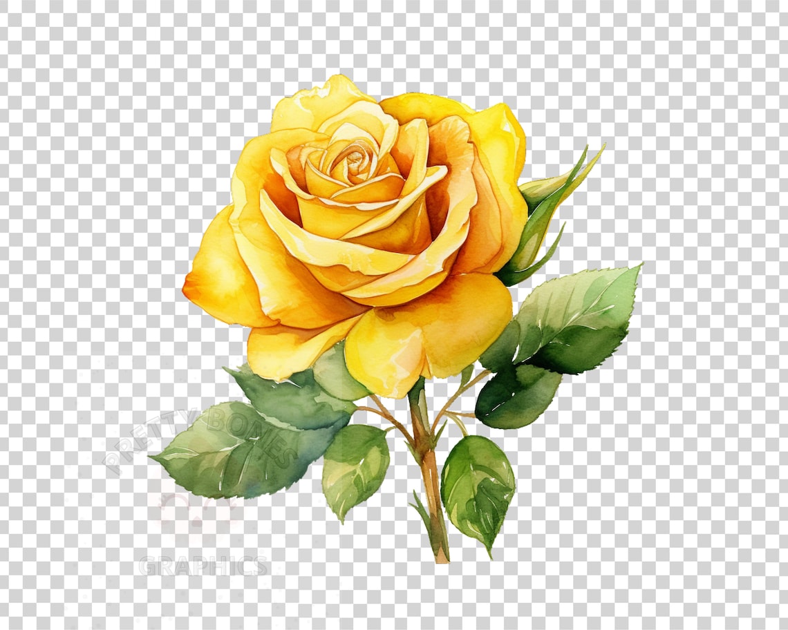 Watercolor Yellow Rose Clipart, PNG Instant Download File, Digital ...