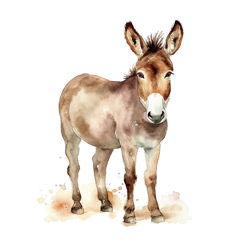 Watercolor Donkey - Etsy