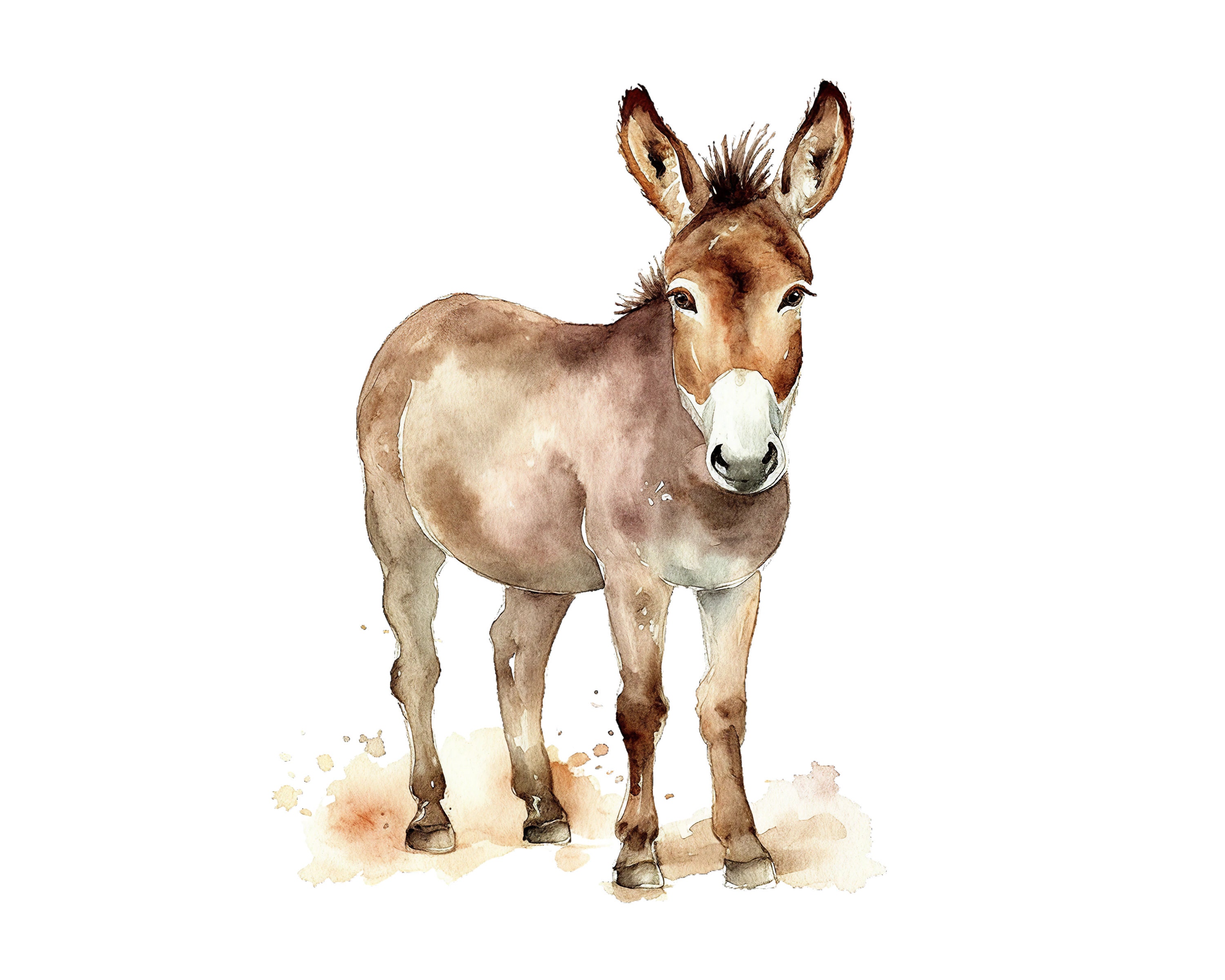 Watercolor Donkey Clipart PNG Digital Download File Mixed - Etsy