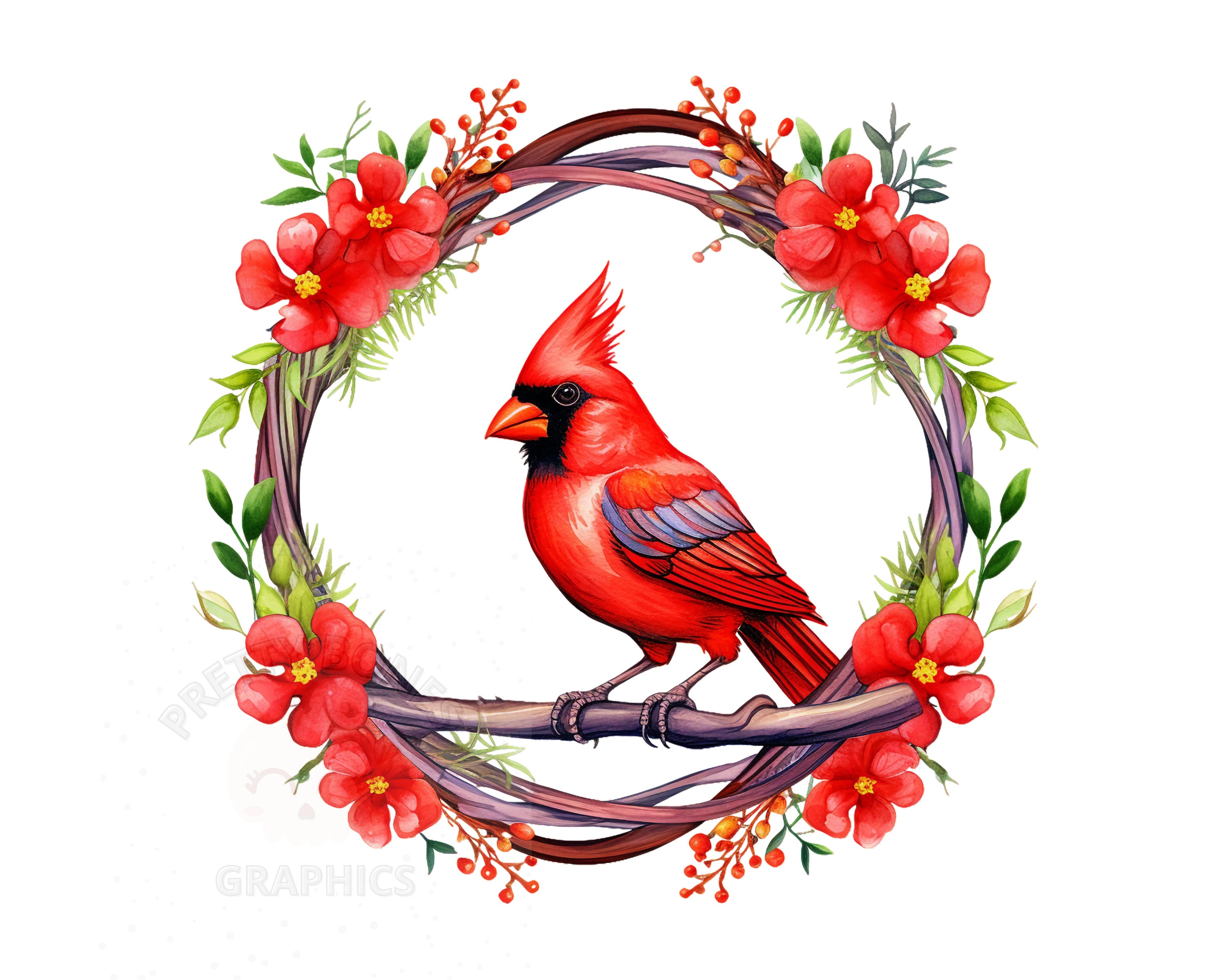 Red Cardinal Bird Frame Clipart, PNG Instant Download File, Digital ...