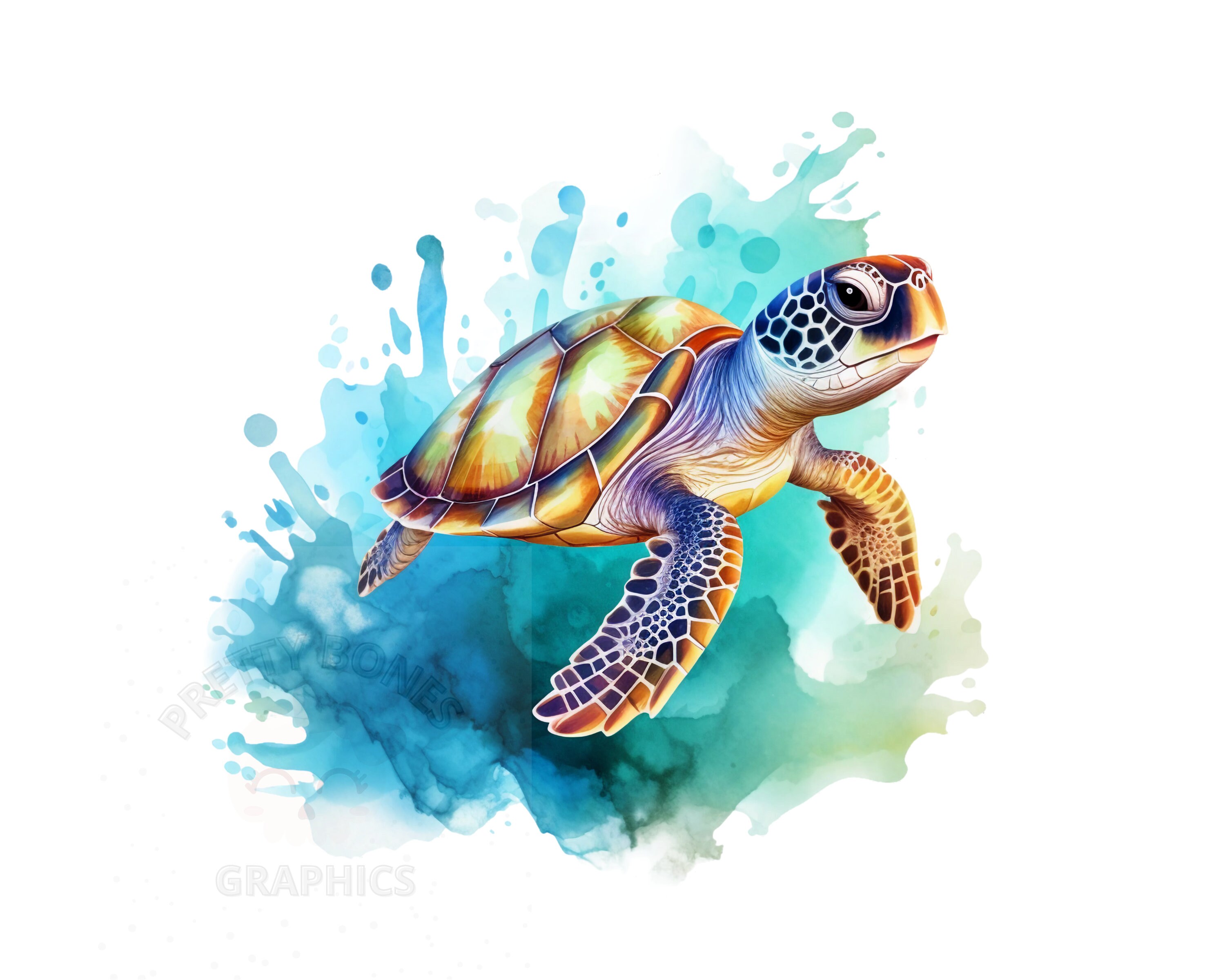 Sea Turtle Clipart PNG Instant Download File Digital Paper - Etsy Australia