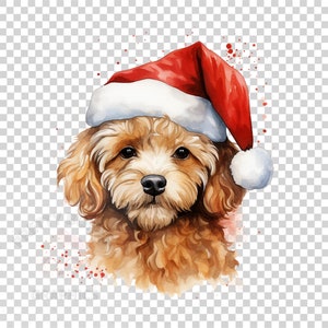 Christmas Havapoo Clipart, PNG Instant Download File, Digital Design ...