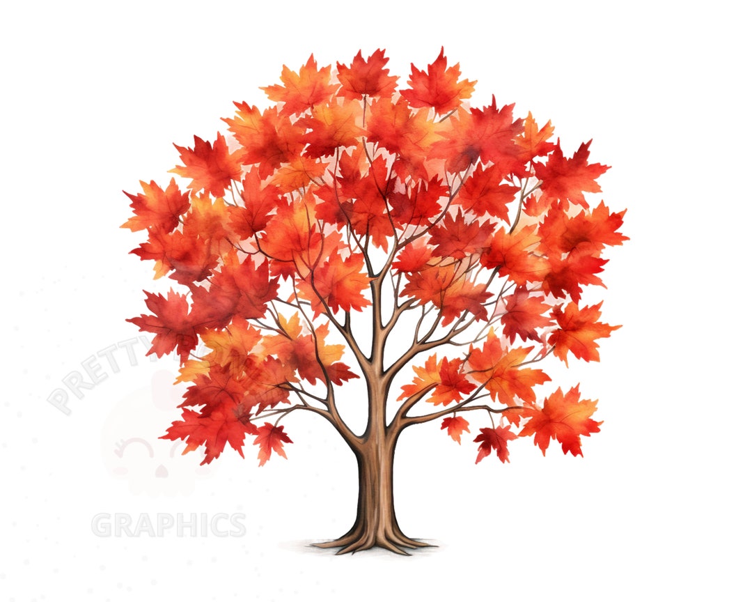 Maple Tree Clipart, PNG Instant Download File, Watercolour Tree Digital ...