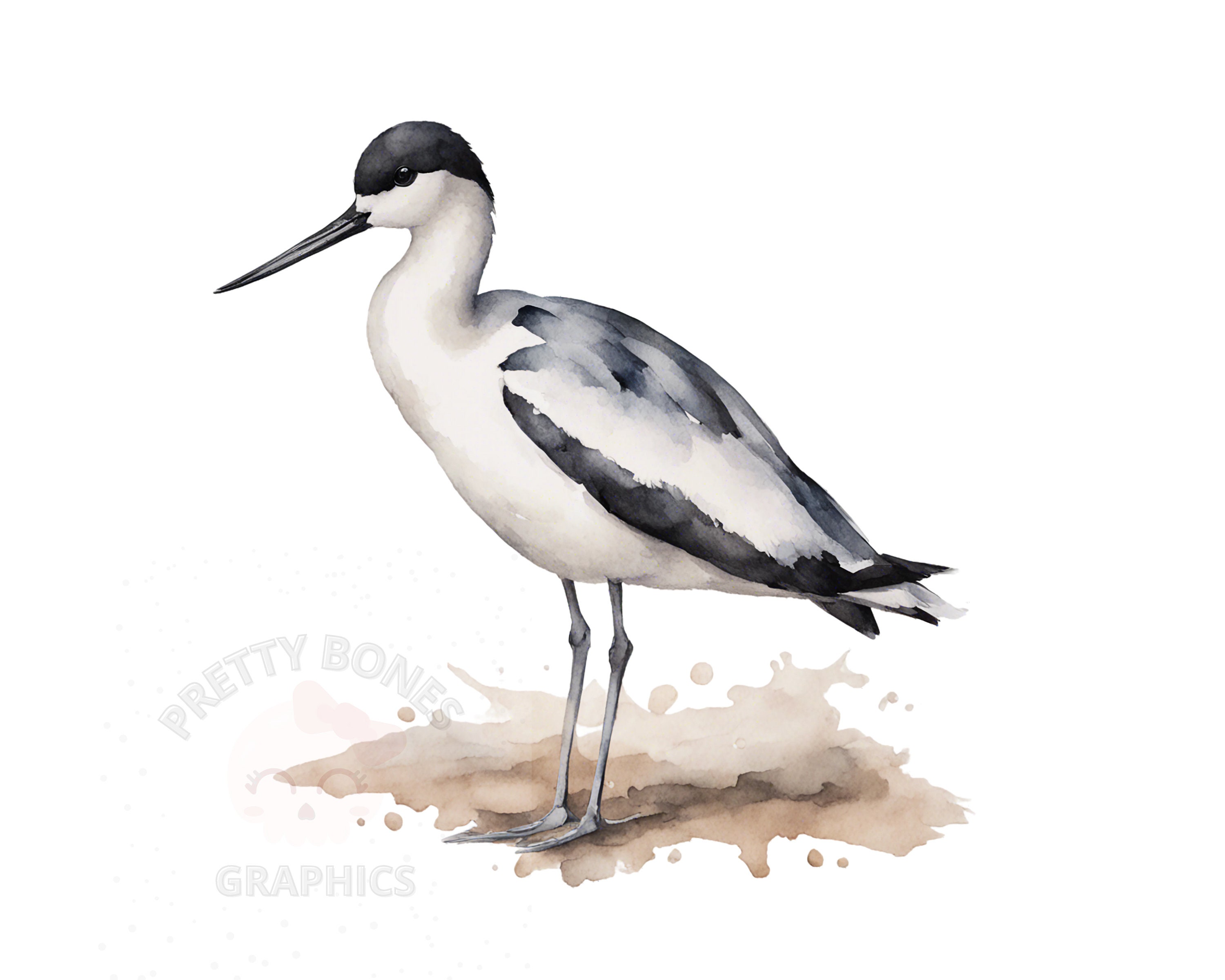 Watercolor Avocet Bird Clipart, PNG Instant Download File, Digital ...