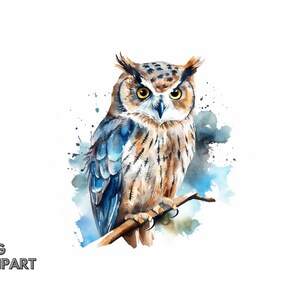 Watercolor Owl Clipart, JPG Digital Download, Card Making Clipart ...