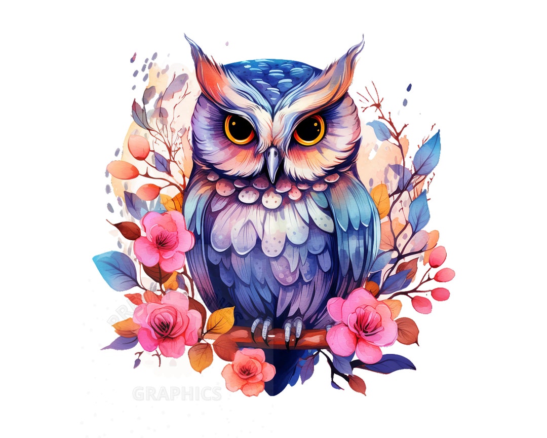 Watercolor Floral Owl Clipart, PNG Instant Download File, Digital ...
