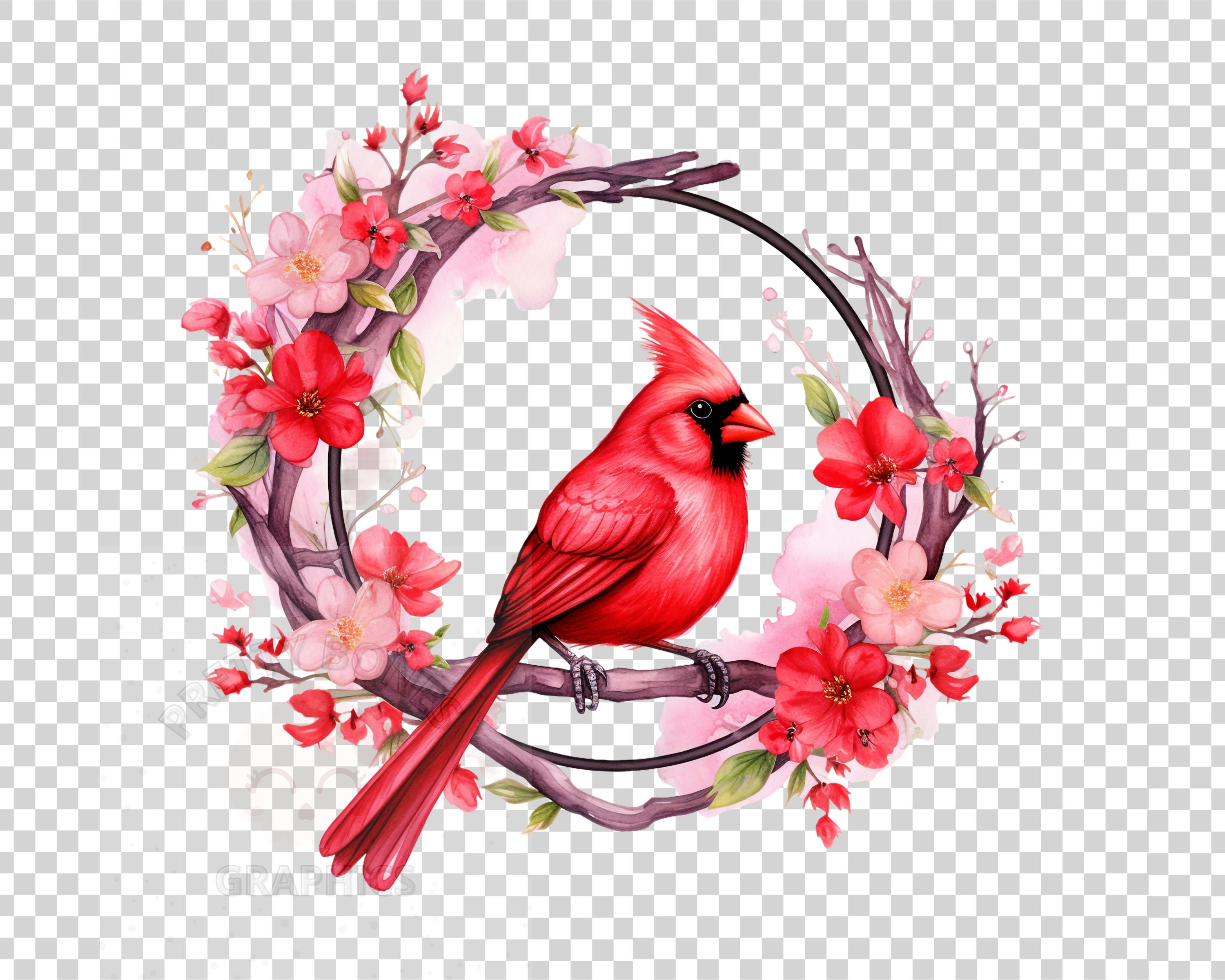 Red Cardinal Frame Clipart, PNG Instant Download File, Floral Bird ...