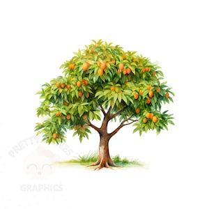 Mango Tree Clipart, PNG Instant Download File, Digital Paper Craft ...