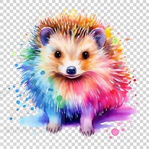 Hedgehog Clipart, Rainbow Colours, PNG Instant Download File ...